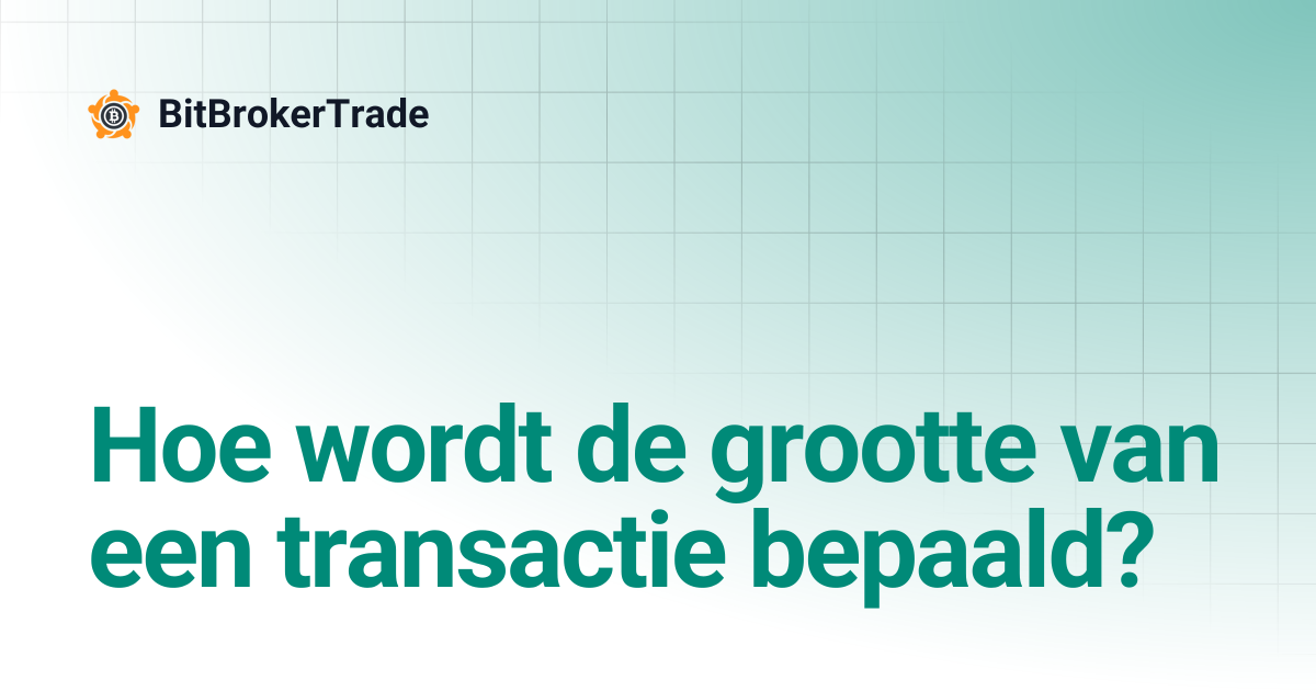 Hoe wordt de grootte van een transactie bepaald? | BitBrokerTrade